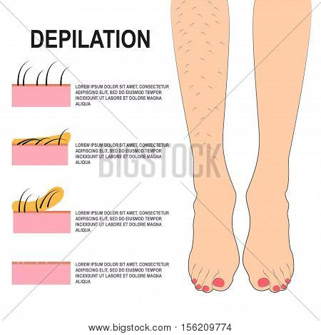Depilation Vector Vector & Photo (Free Trial) | Bigstock