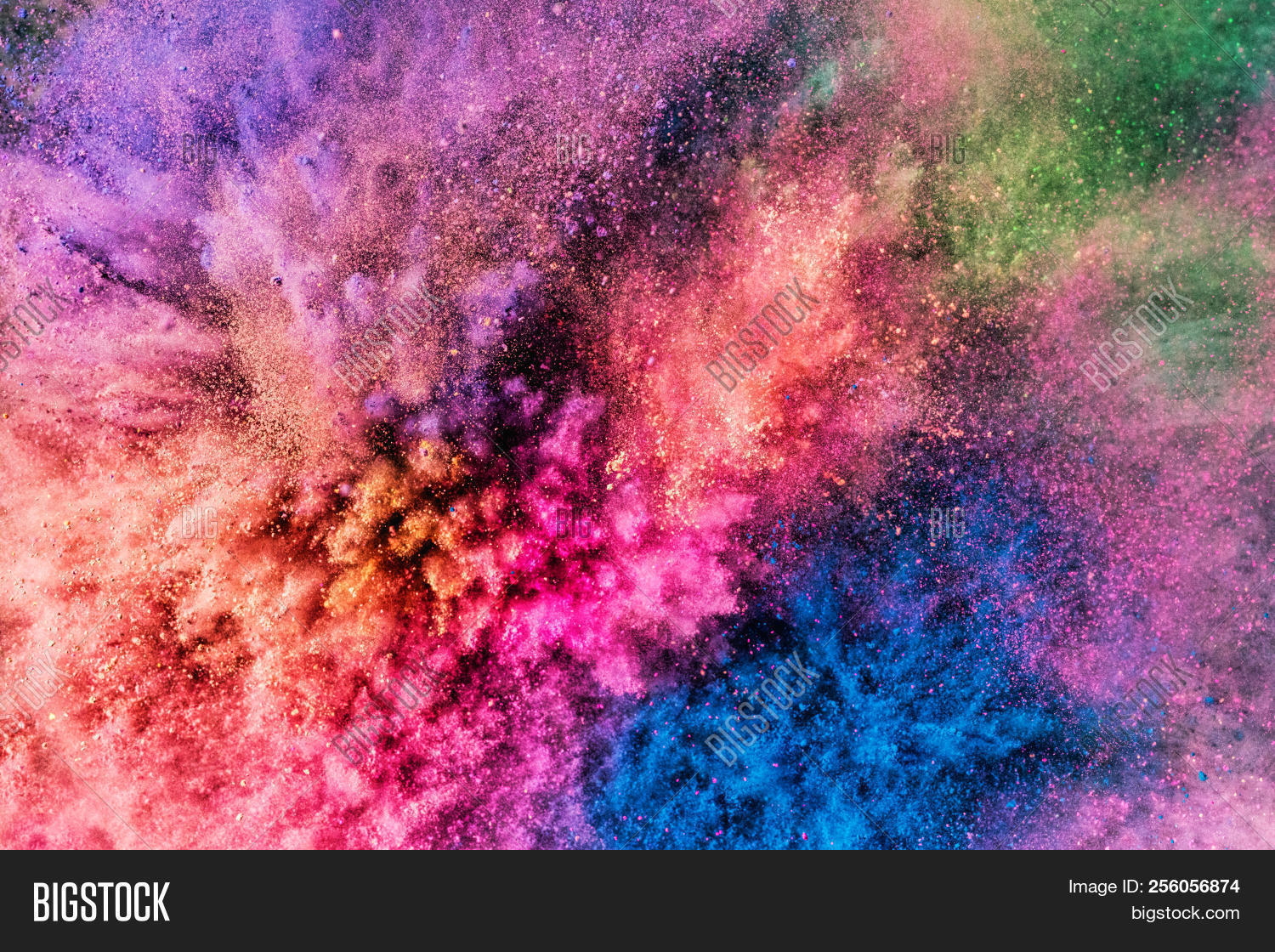 Colorful Holi Powder Image & Photo (Free Trial) | Bigstock