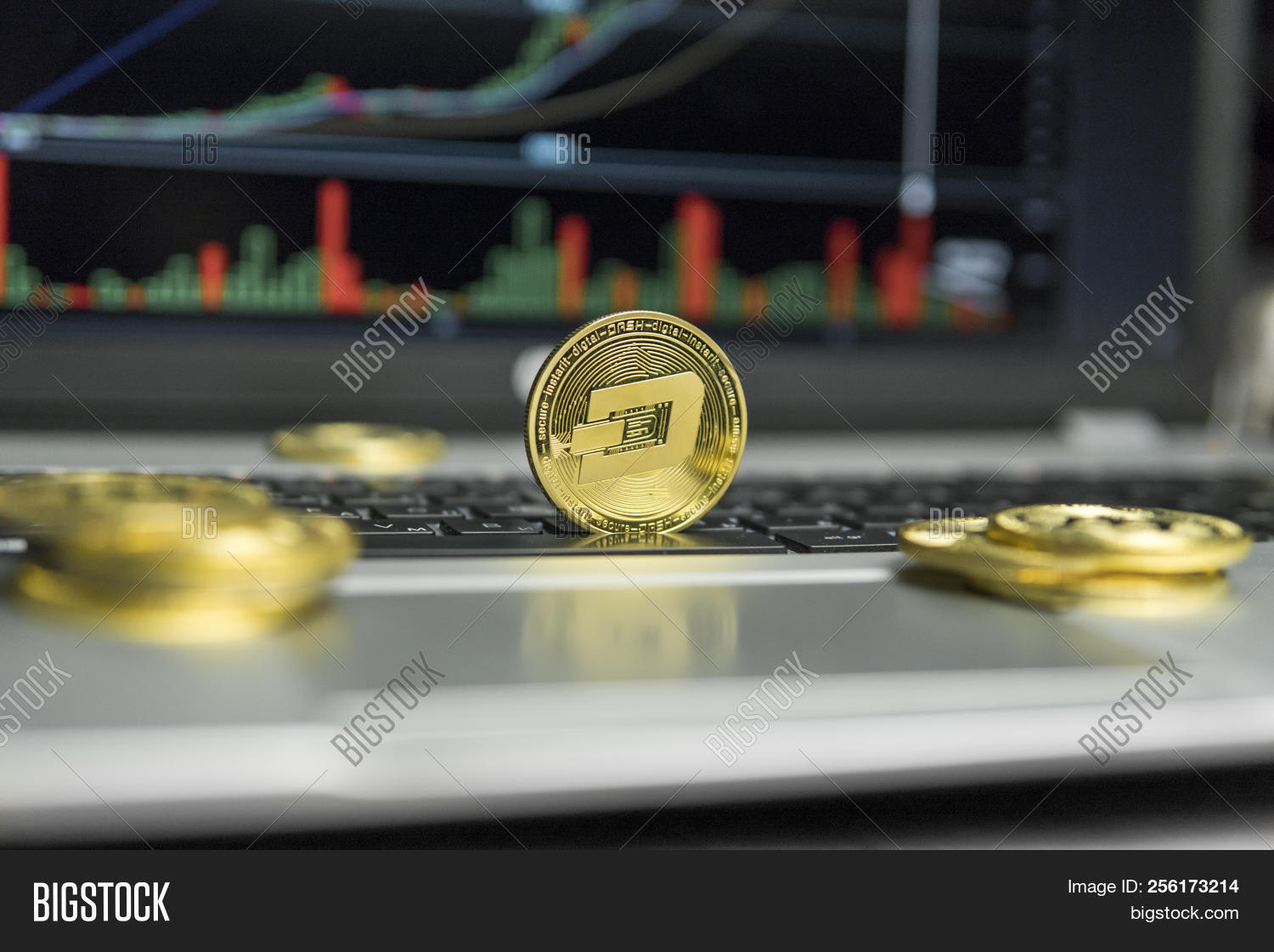 Golden Dash Coin Gold Image & Photo (Free Trial) | Bigstock