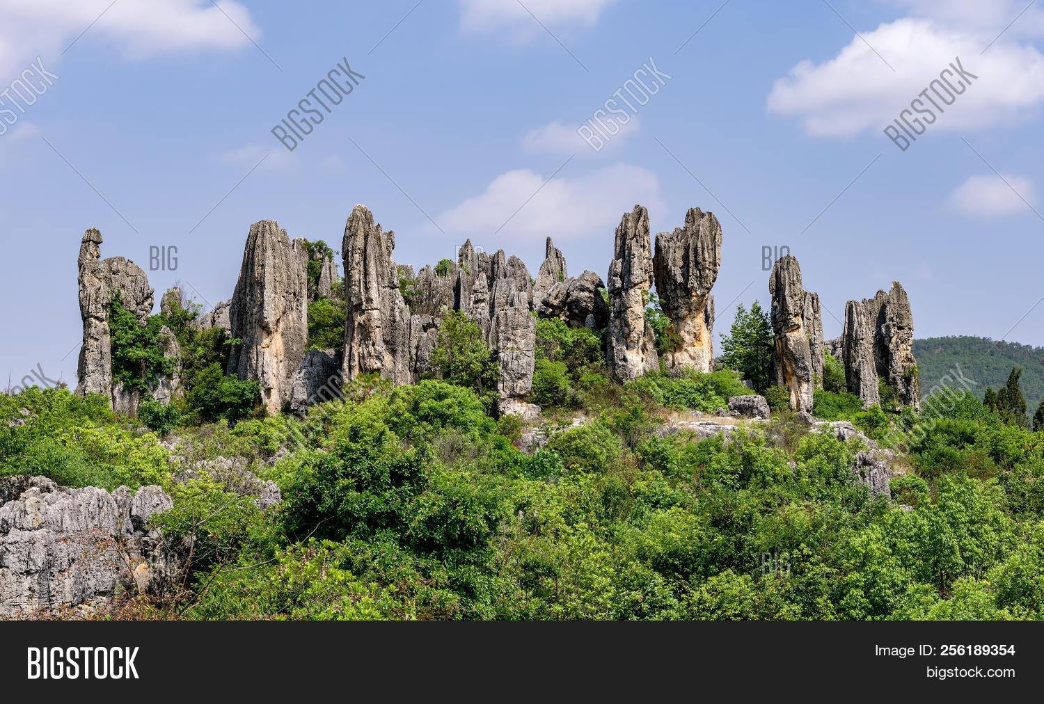 Shilin Stone Forest, Image & Photo (Free Trial) | Bigstock