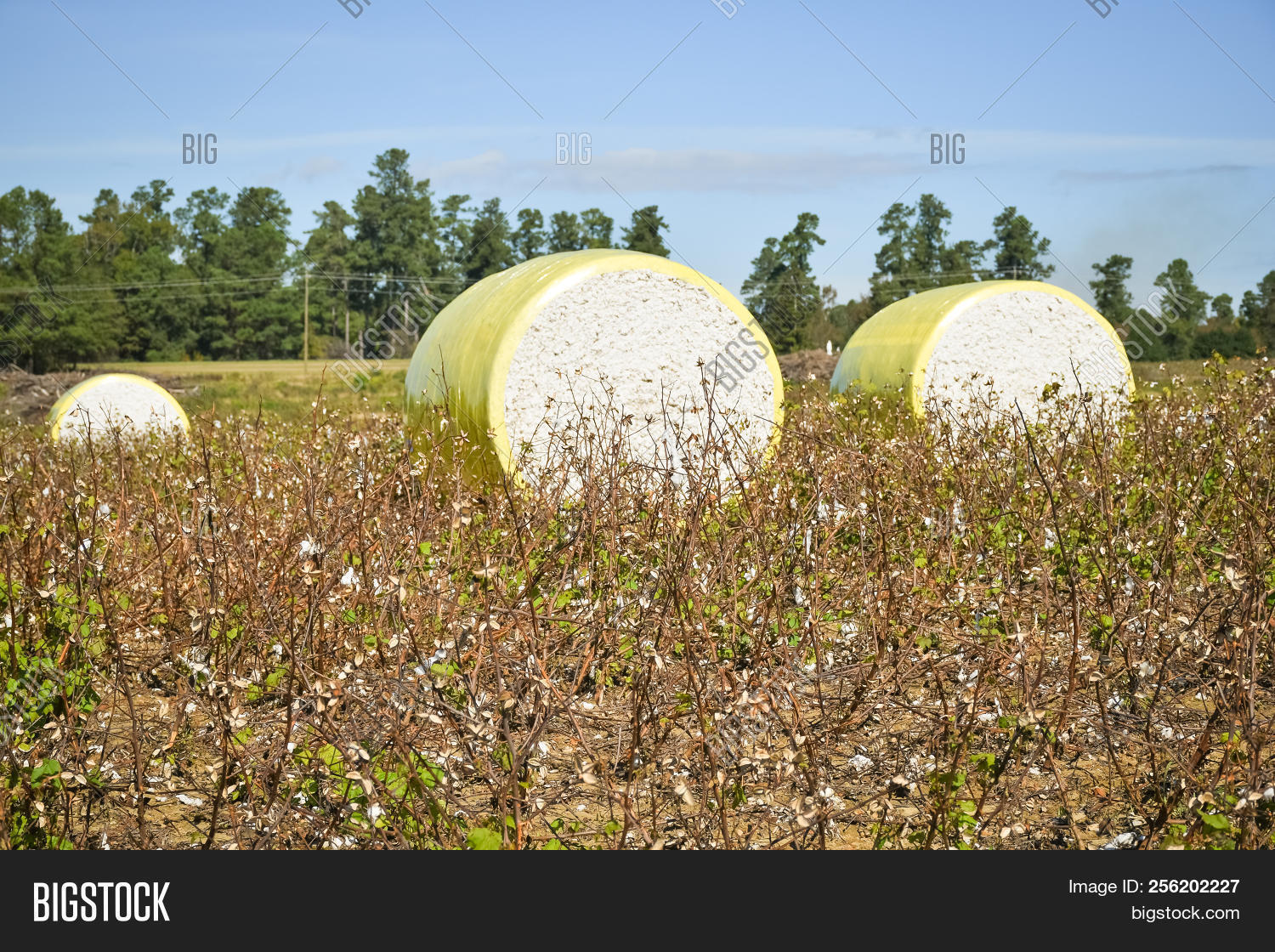 Close- Round Bale Image & Photo (Free Trial) | Bigstock