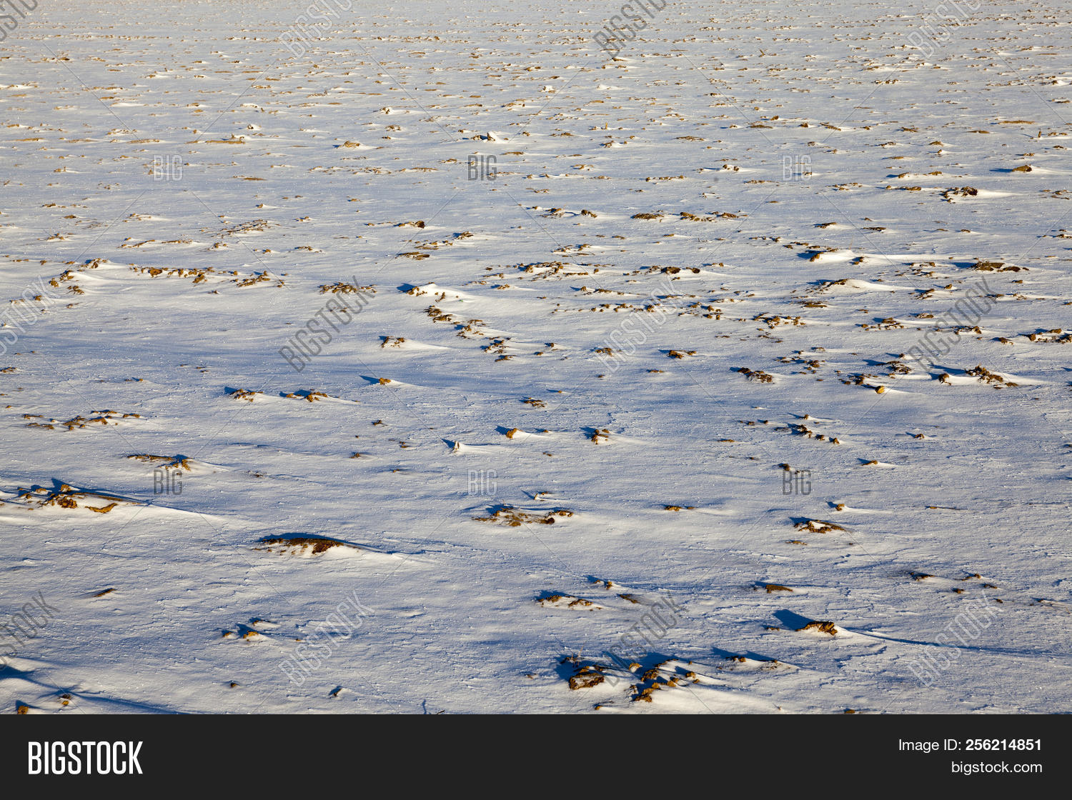 Snow Lying Snowdrifts Image & Photo (Free Trial) | Bigstock