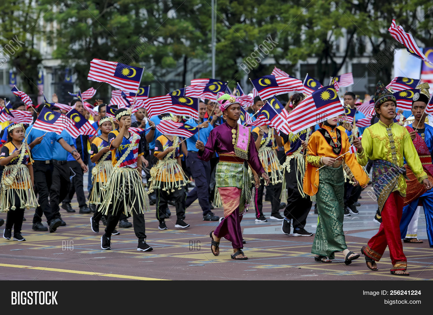 Celebrating 61Th Image & Photo (Free Trial) | Bigstock