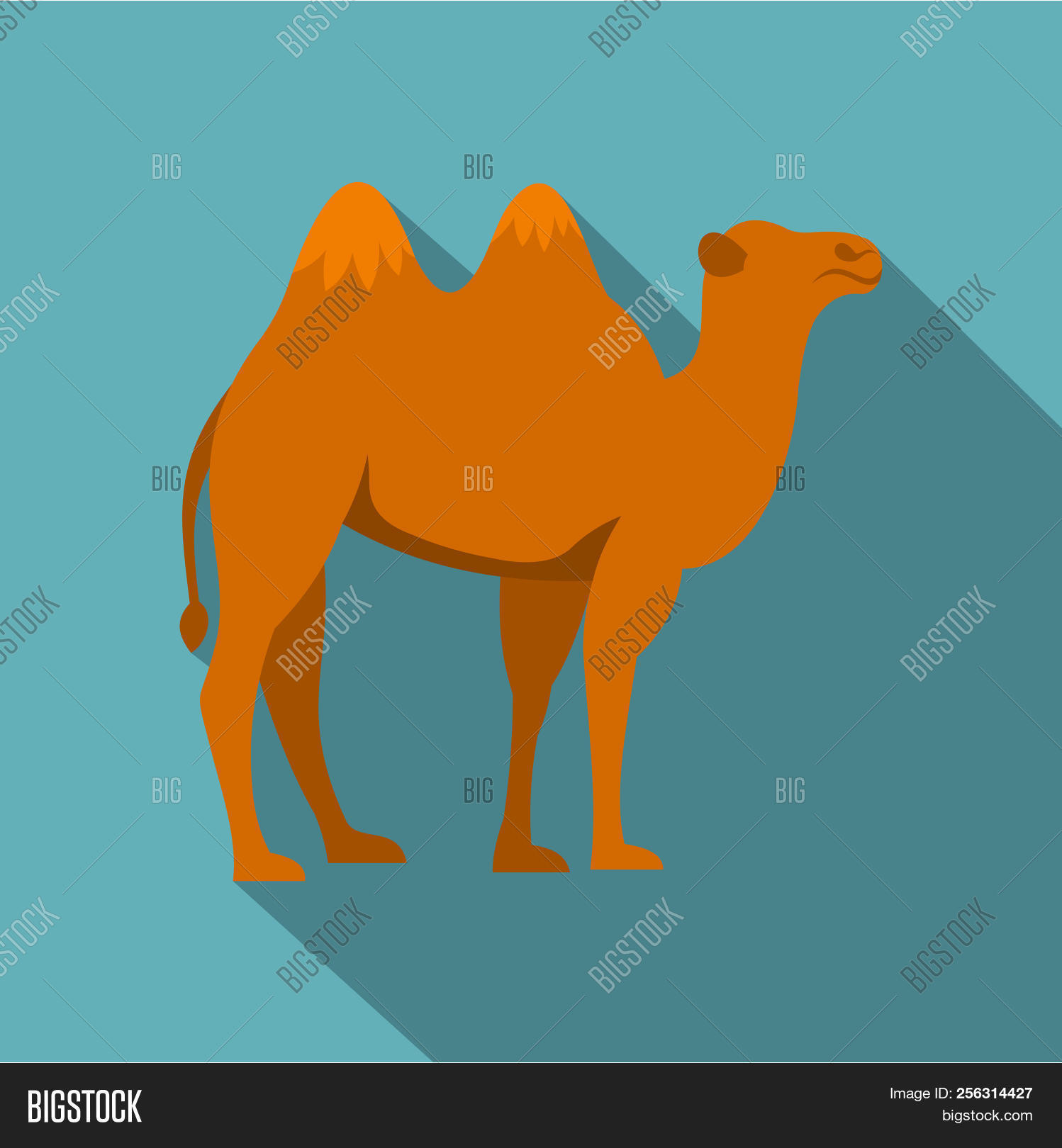 Camel Icon. Flat Image & Photo (Free Trial) | Bigstock