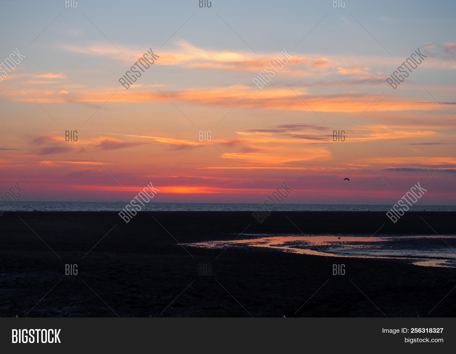 Twilight Beach Scene Image & Photo (Free Trial) | Bigstock