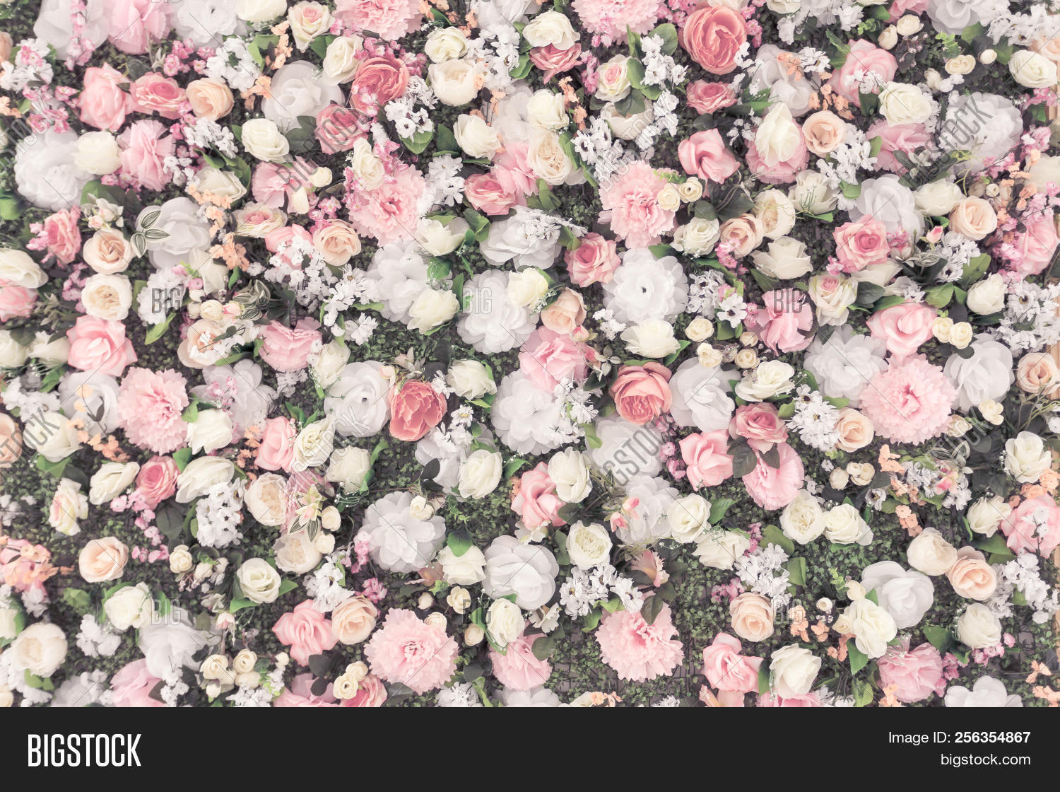 Beautiful Roses Image & Photo (Free Trial) | Bigstock