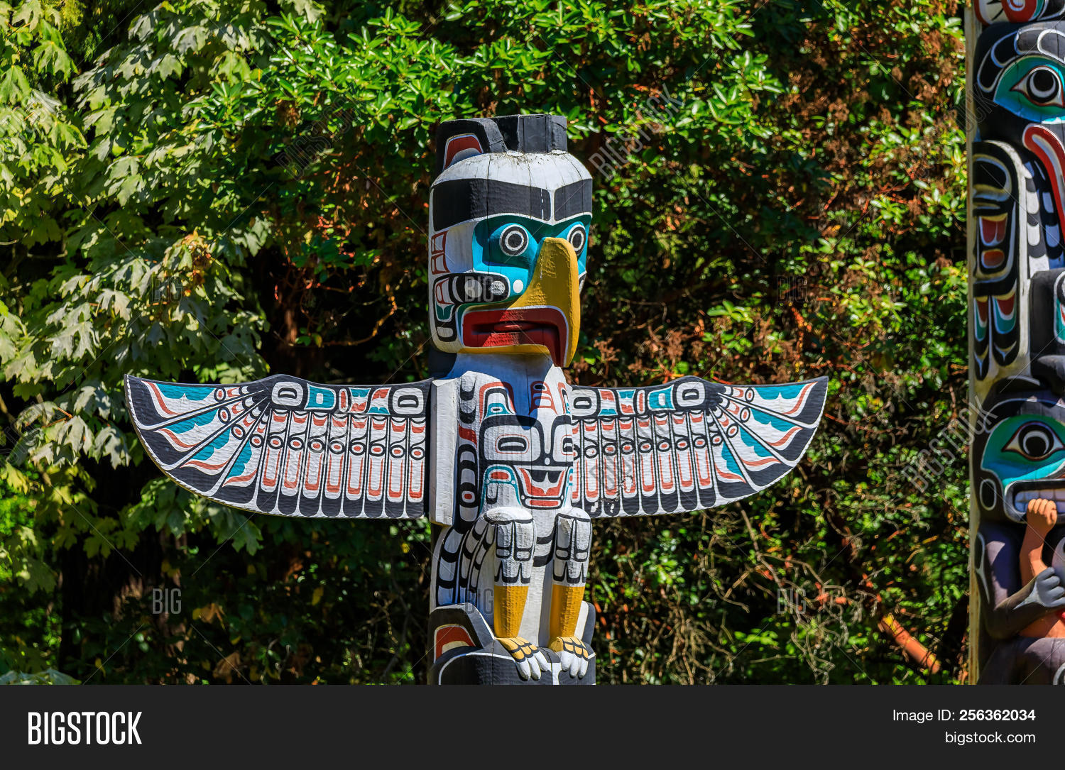 First Nations American Image & Photo (Free Trial) | Bigstock