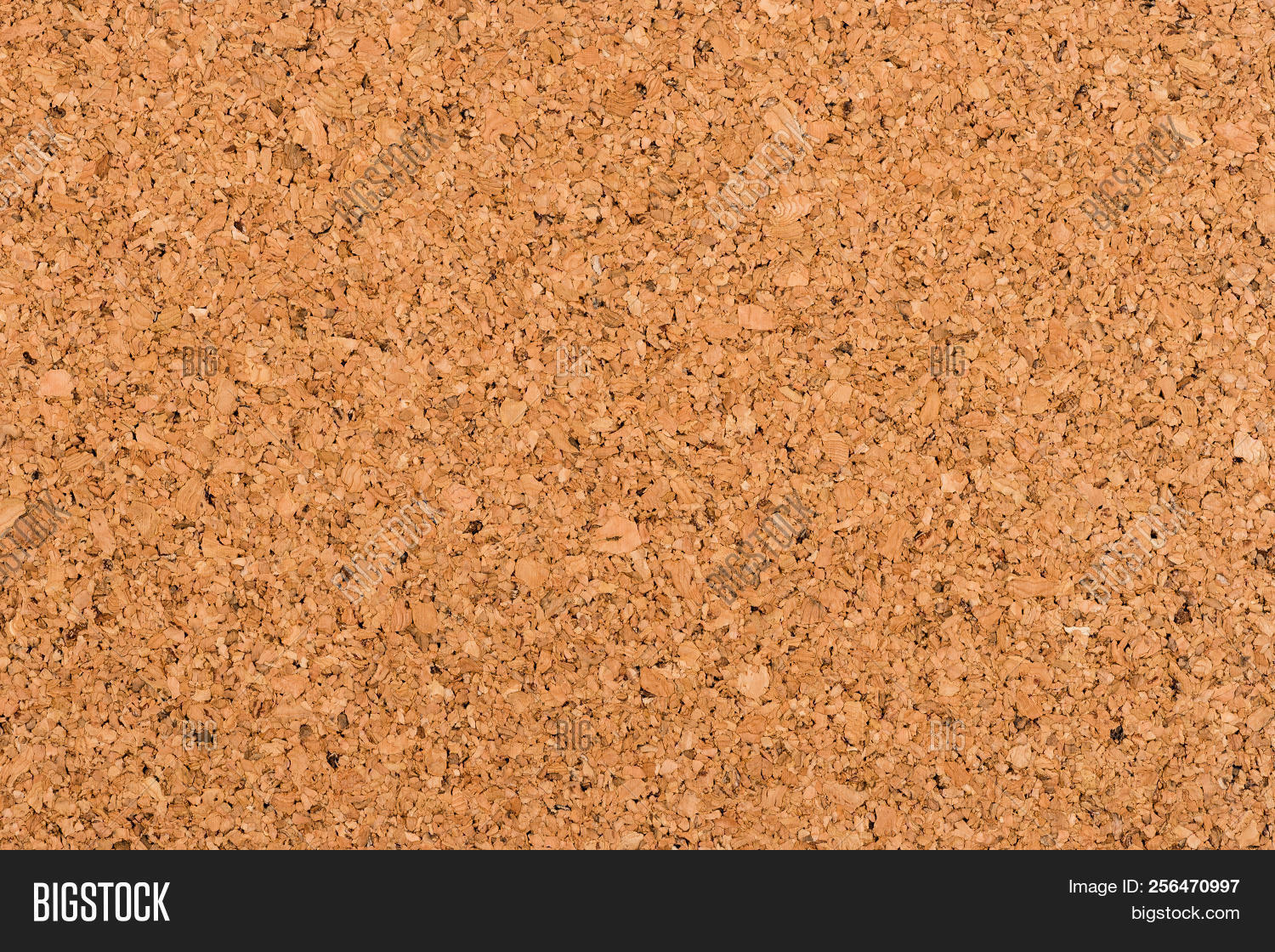Cork Board Background Image & Photo (Free Trial) | Bigstock
