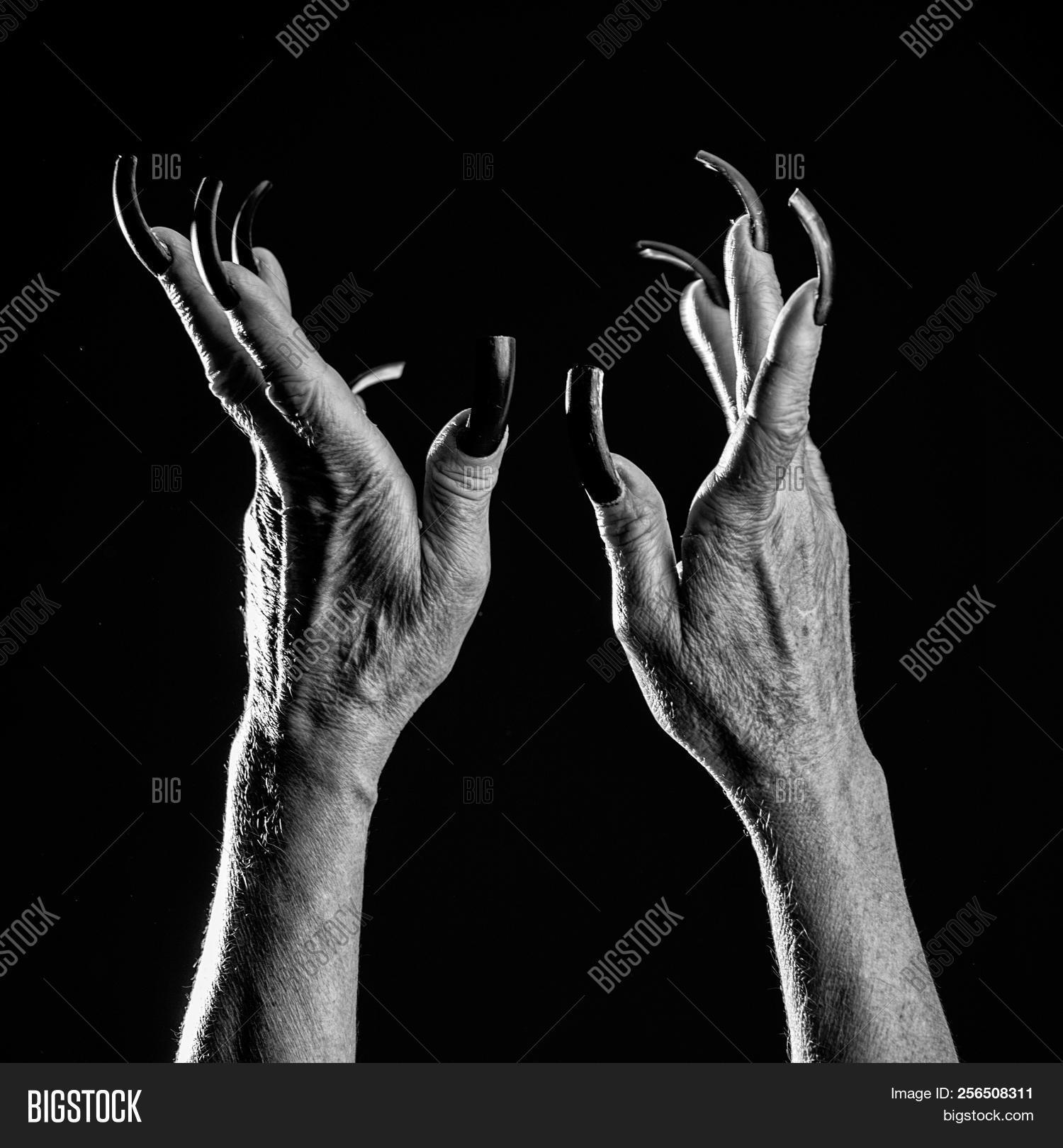 Closeup View Two Image & Photo (Free Trial) | Bigstock