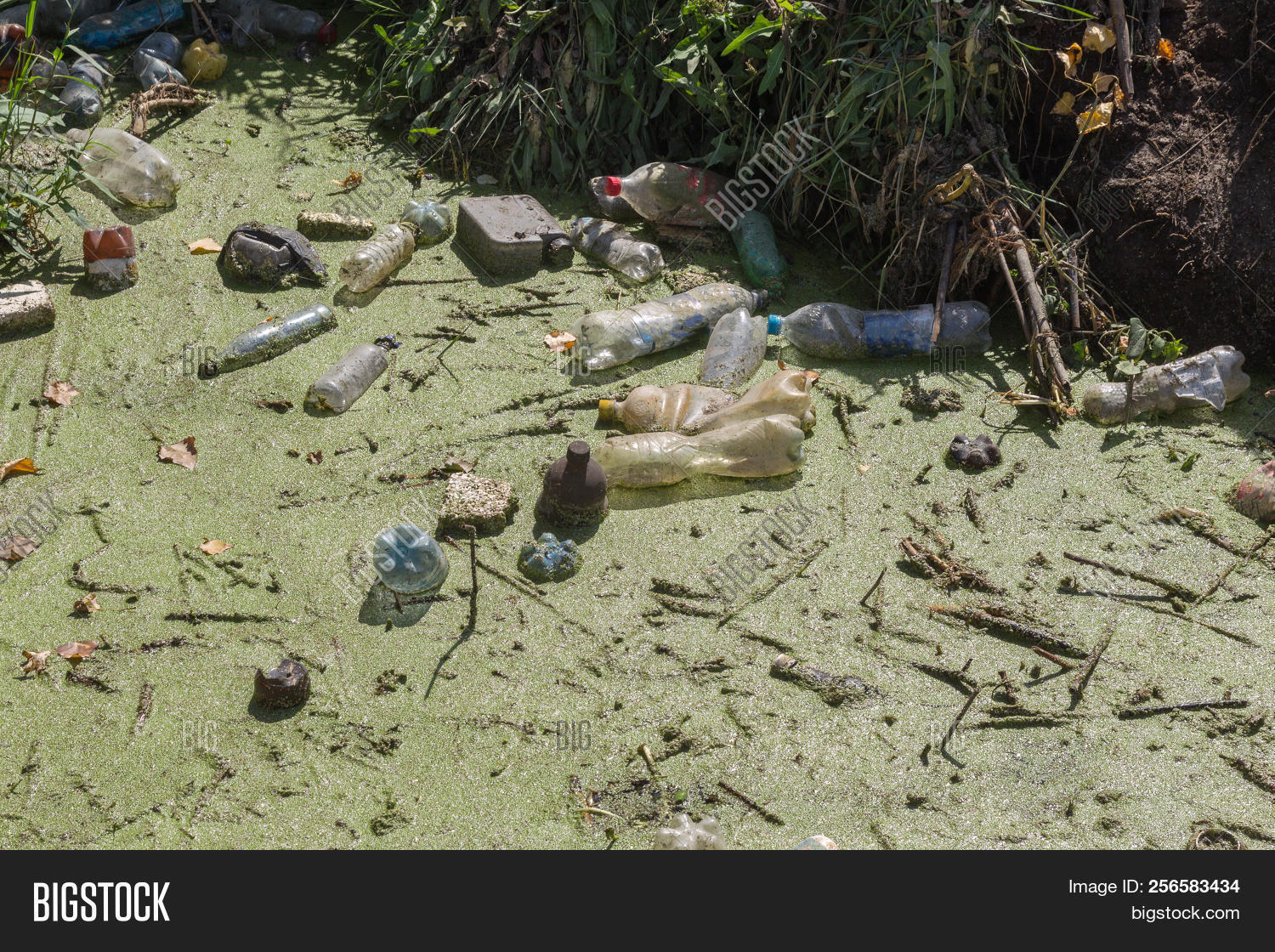 Spilled Garbage Small Image & Photo (Free Trial) | Bigstock