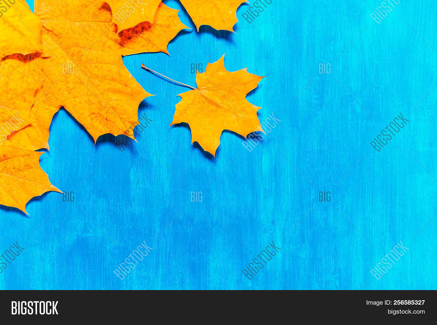 Fall Background. Image & Photo (Free Trial) | Bigstock