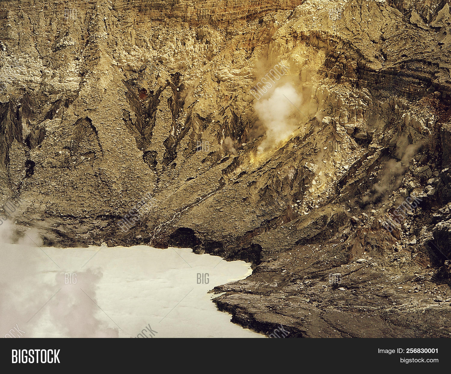 Poisonous Fumes Rise Image & Photo (Free Trial) | Bigstock