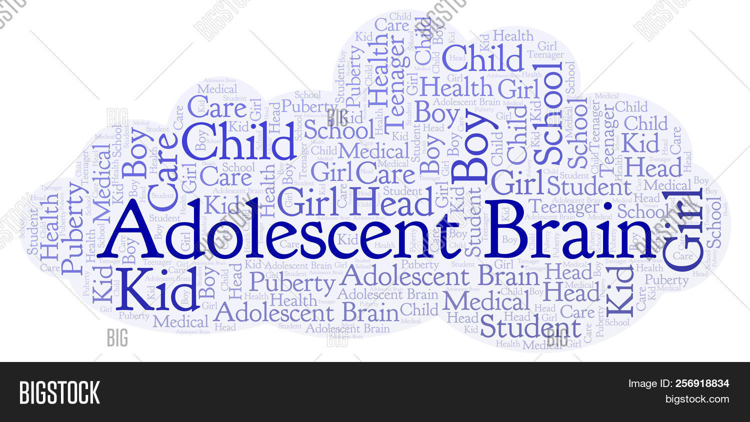 Adolescent Brain Word Image & Photo (Free Trial) | Bigstock