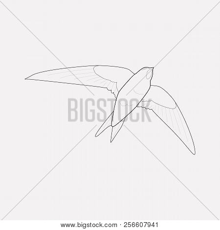 Swift Icon Line Image & Photo (Free Trial) | Bigstock
