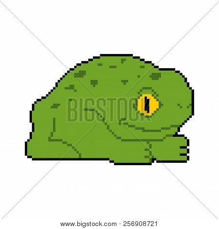 Frog Pixel Art. Toad Vector & Photo (Free Trial) | Bigstock