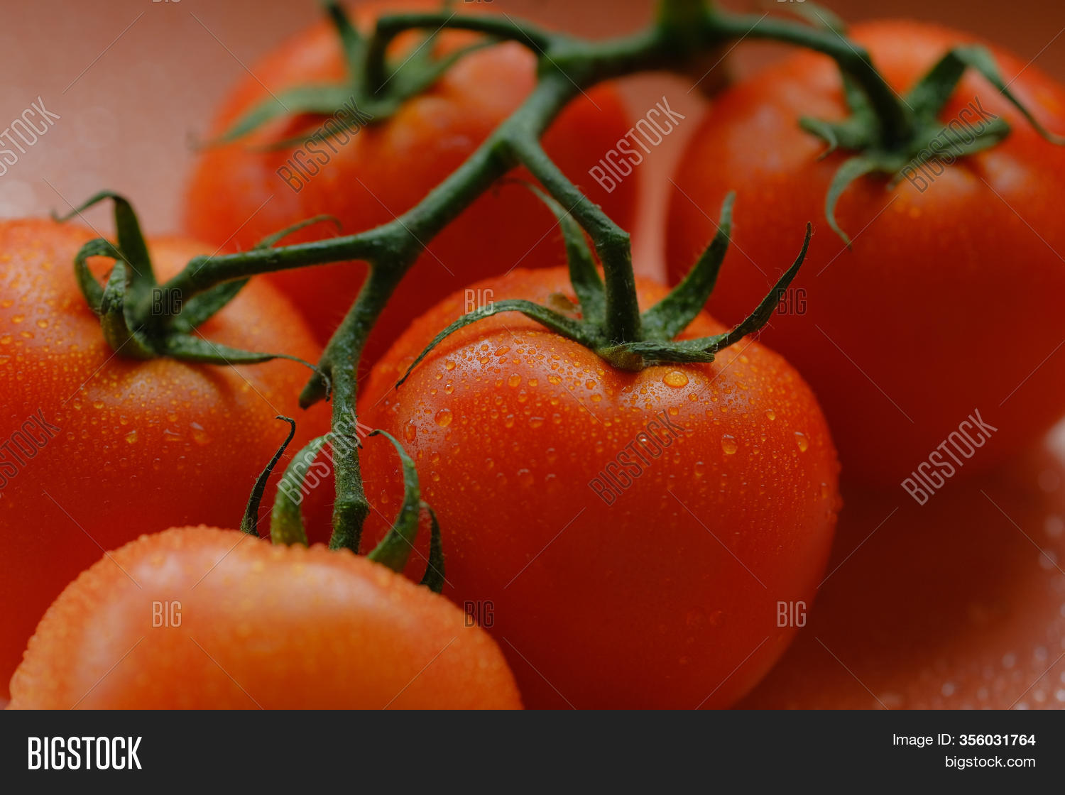 Red Tomatoes On Branch Image & Photo (Free Trial) | Bigstock