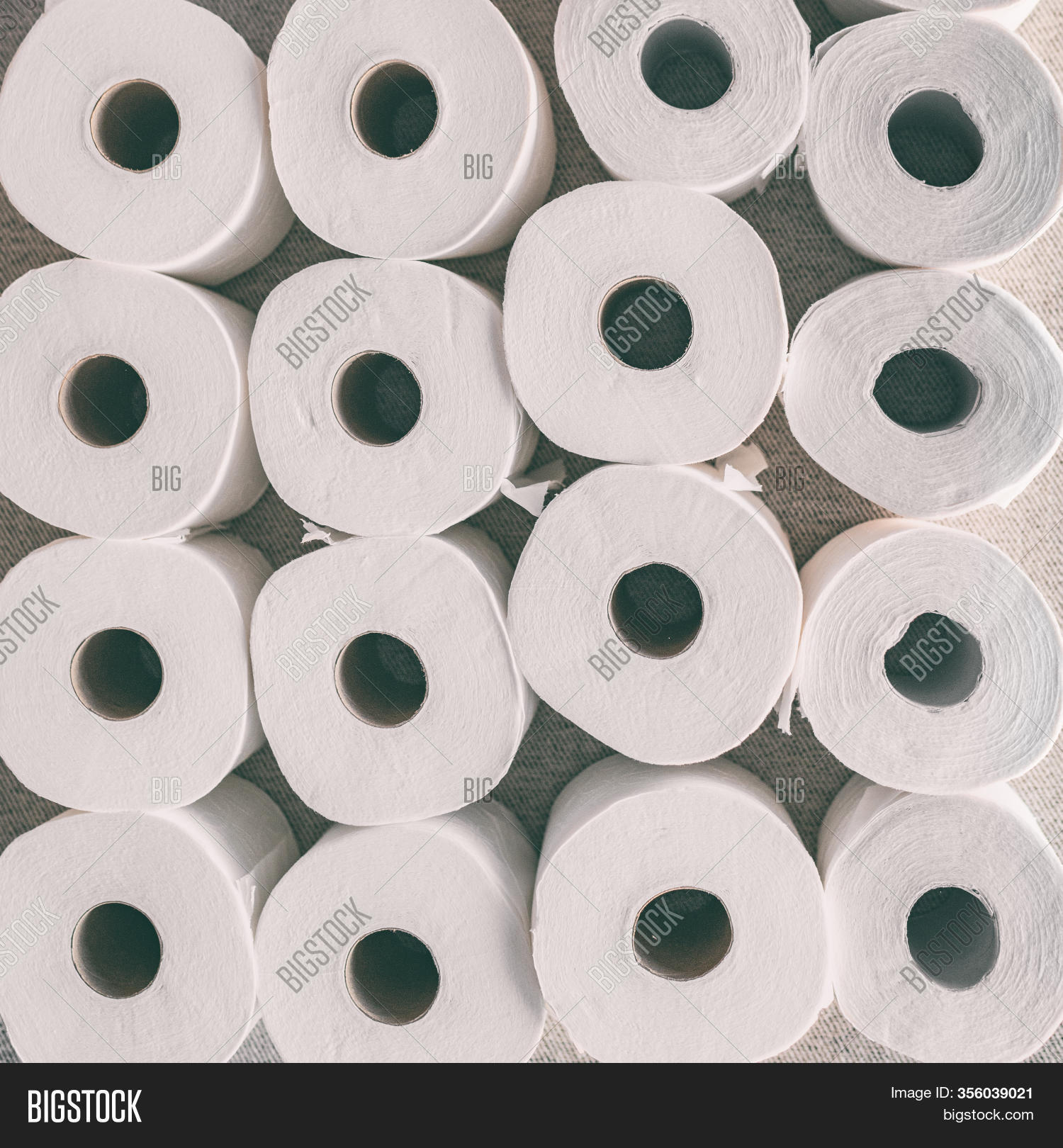 Toilet Paper Rolls Image & Photo (Free Trial) | Bigstock
