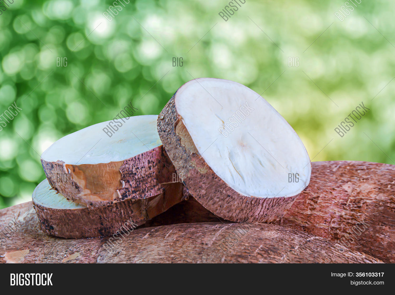 Cassava Tubers Fresh Image & Photo (Free Trial) | Bigstock