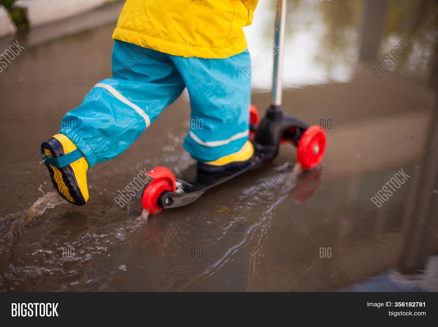 Spring Walks Any Image & Photo (Free Trial) | Bigstock