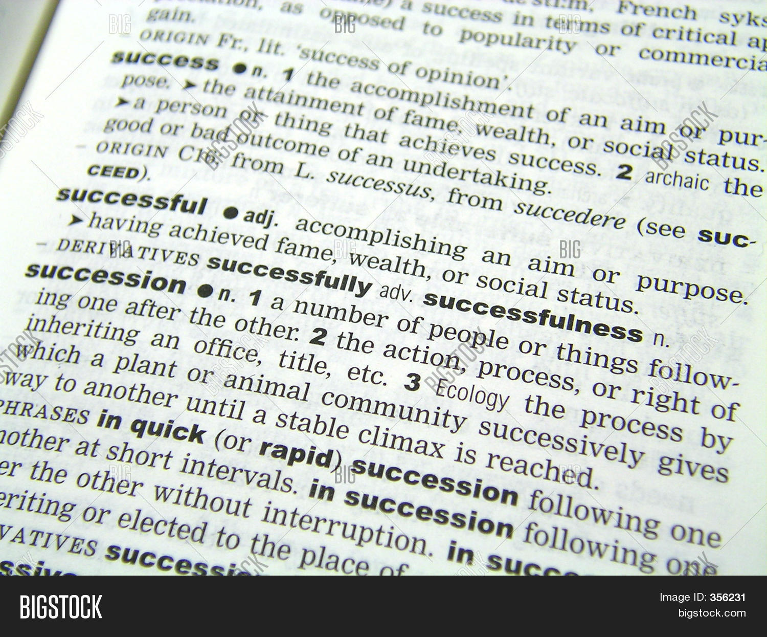 Definition Successful Image & Photo (Free Trial) | Bigstock