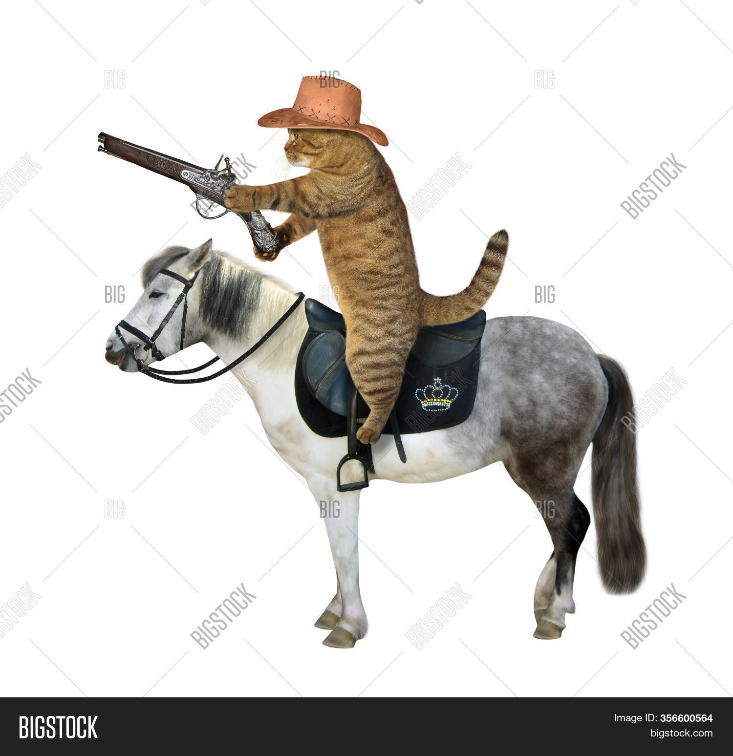 Beige Cat Cowboy Hat Image & Photo (Free Trial) | Bigstock
