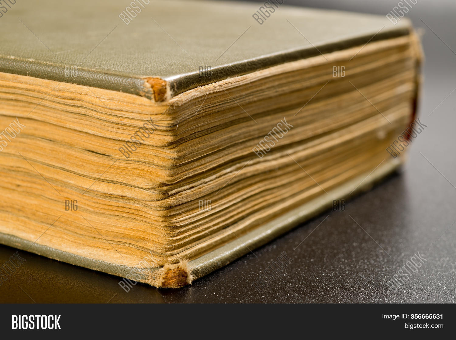 Old Book Yellowed Image & Photo (Free Trial) | Bigstock