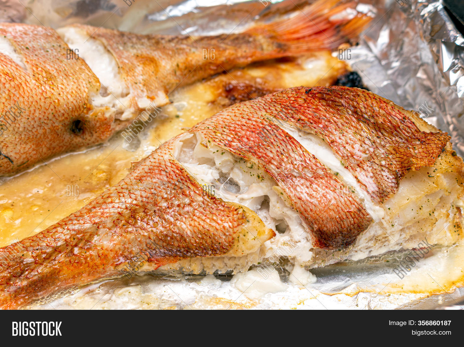 Sea Bass Grouper Image & Photo (Free Trial) | Bigstock