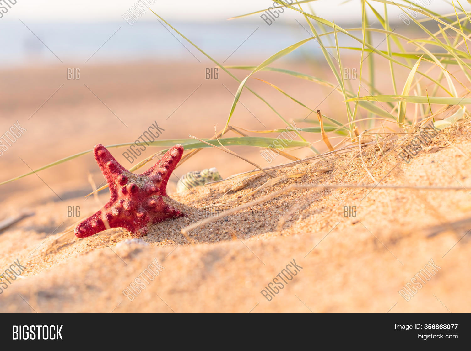 Summer Beach Tropical Image & Photo (Free Trial) | Bigstock