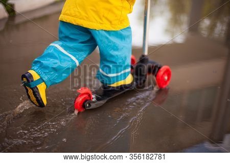 Spring Walks Any Image & Photo (Free Trial) | Bigstock