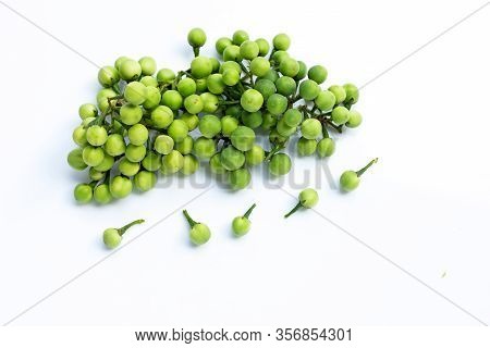 Sundakkai Images, Illustrations & Vectors (Free) - Bigstock