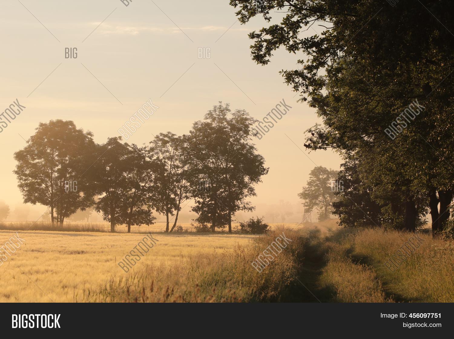 Spring Sunrise Image & Photo (Free Trial) | Bigstock