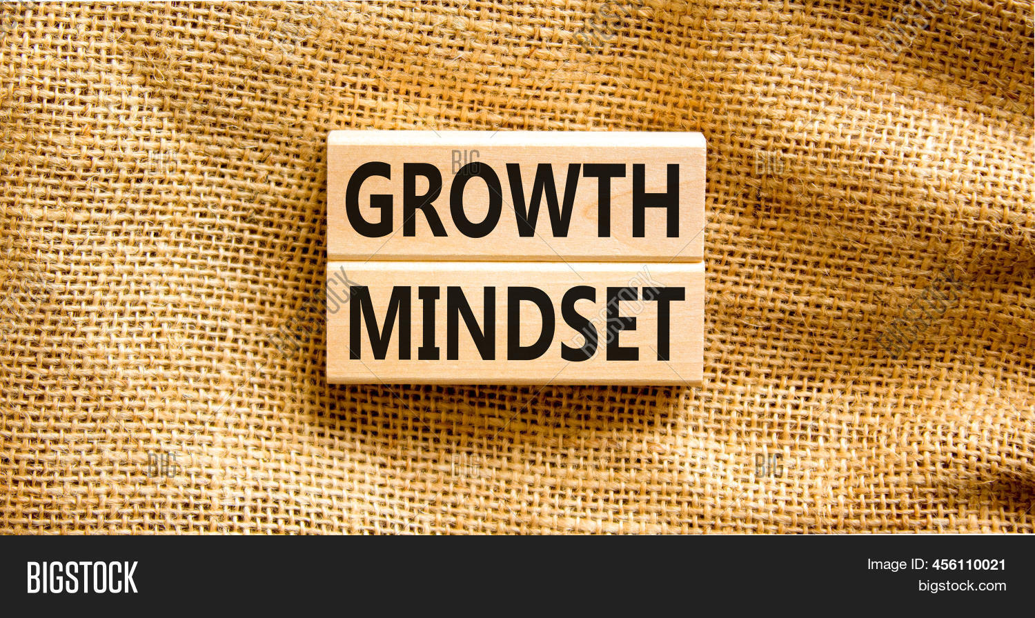 Growth Mindset Symbol Image & Photo (Free Trial) | Bigstock