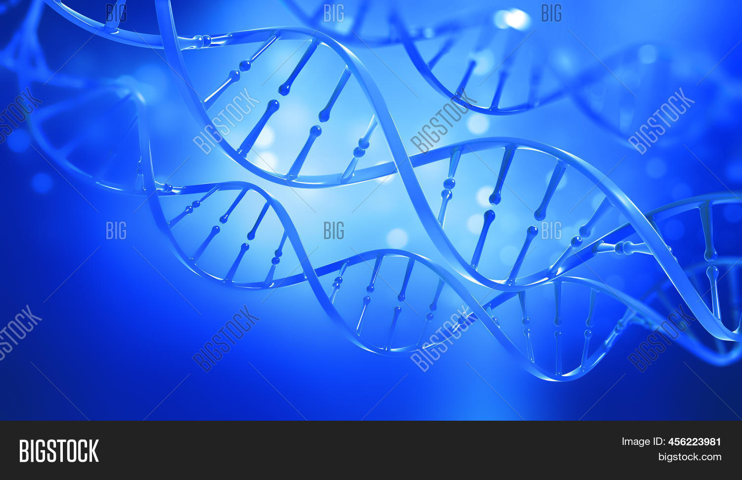 Dna. Study Gene Image & Photo (Free Trial) | Bigstock