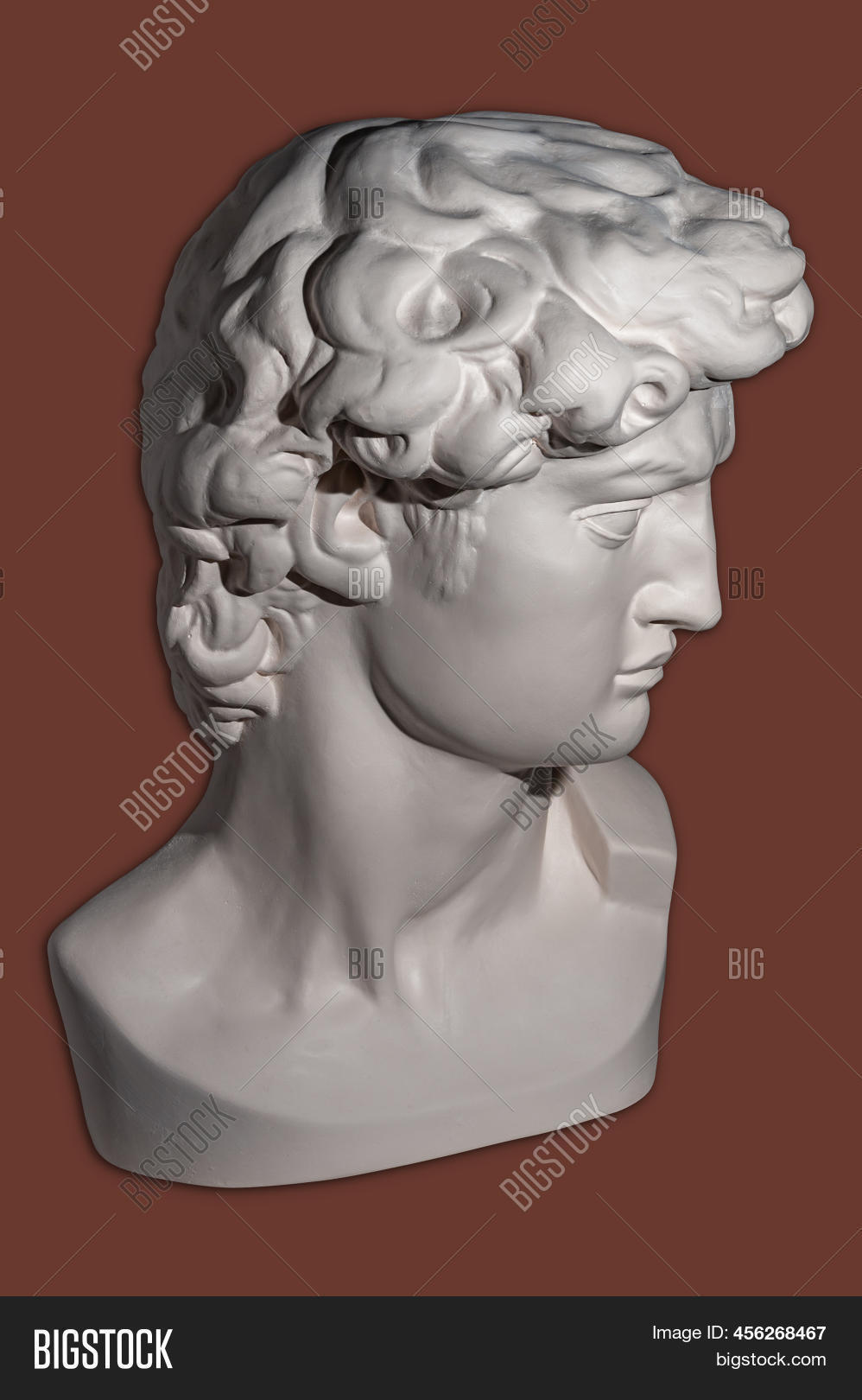 Gypsum Copy Head Image & Photo (Free Trial) | Bigstock