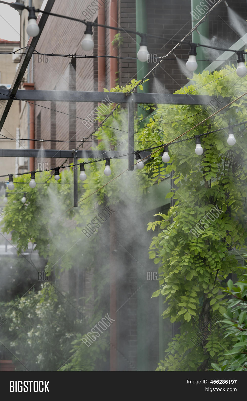 Fogging Outdoor Cool Image & Photo (Free Trial) | Bigstock