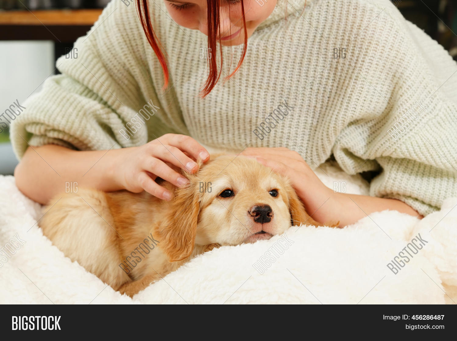 Child Cute Puppy. Girl Image & Photo (Free Trial) | Bigstock