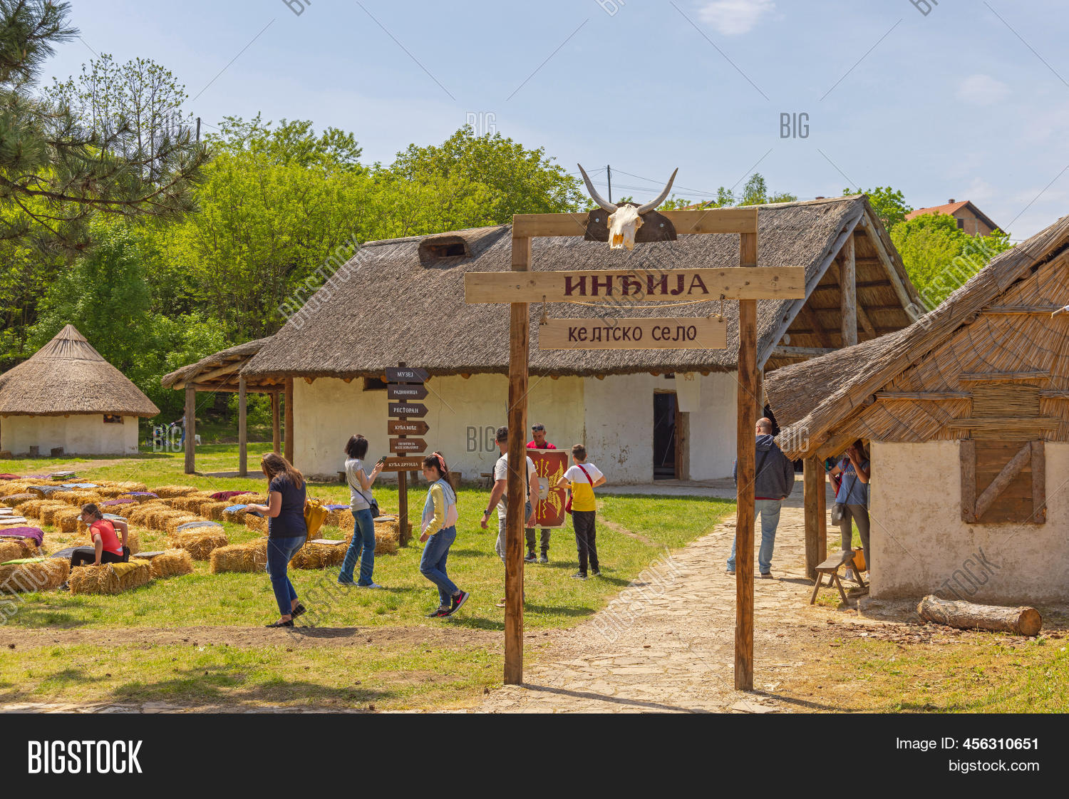 Indjija, Serbia - May Image & Photo (Free Trial) | Bigstock