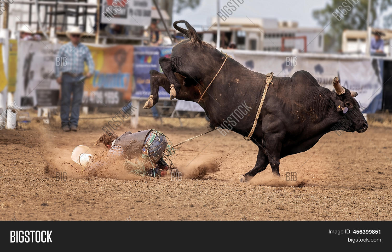 Cowboy Gets Bucked Off Image & Photo (Free Trial) | Bigstock