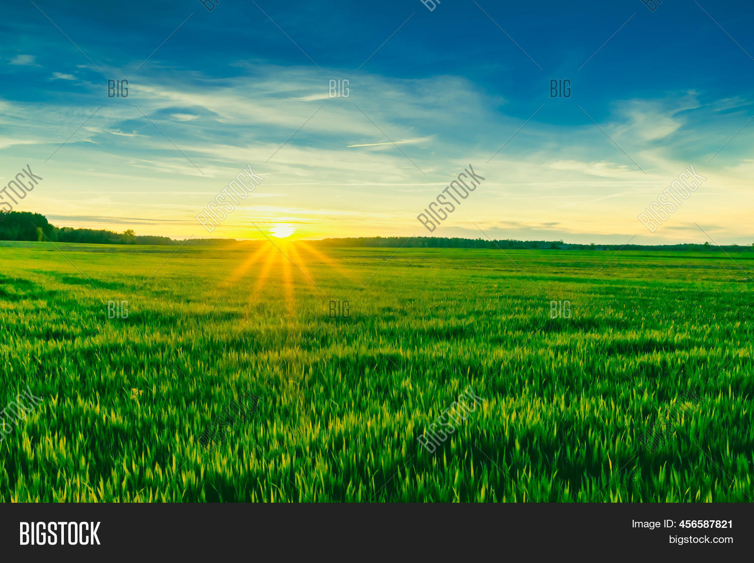 Beautiful Morning Image & Photo (Free Trial) | Bigstock