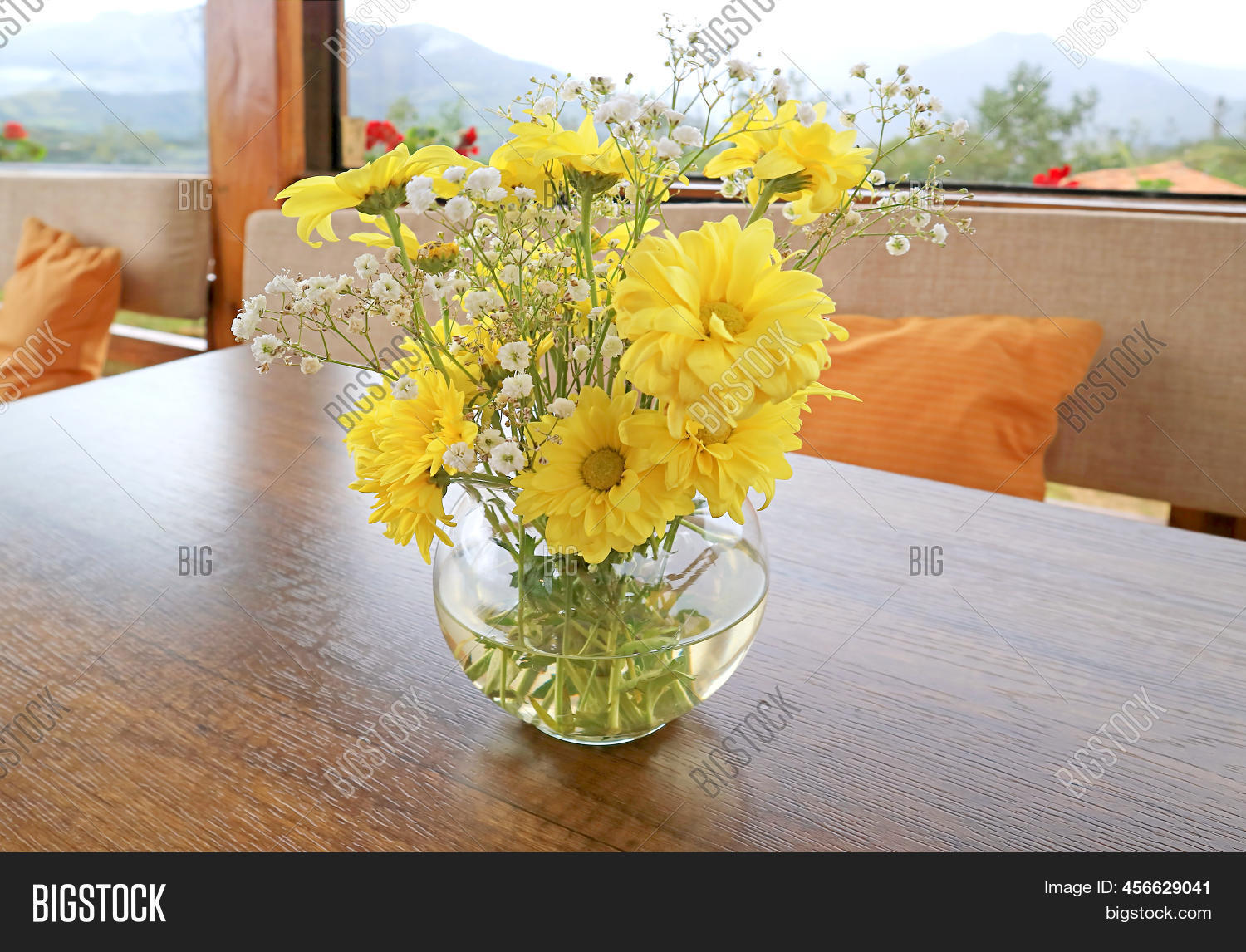Vibrant Color Flowers Image & Photo (Free Trial) | Bigstock