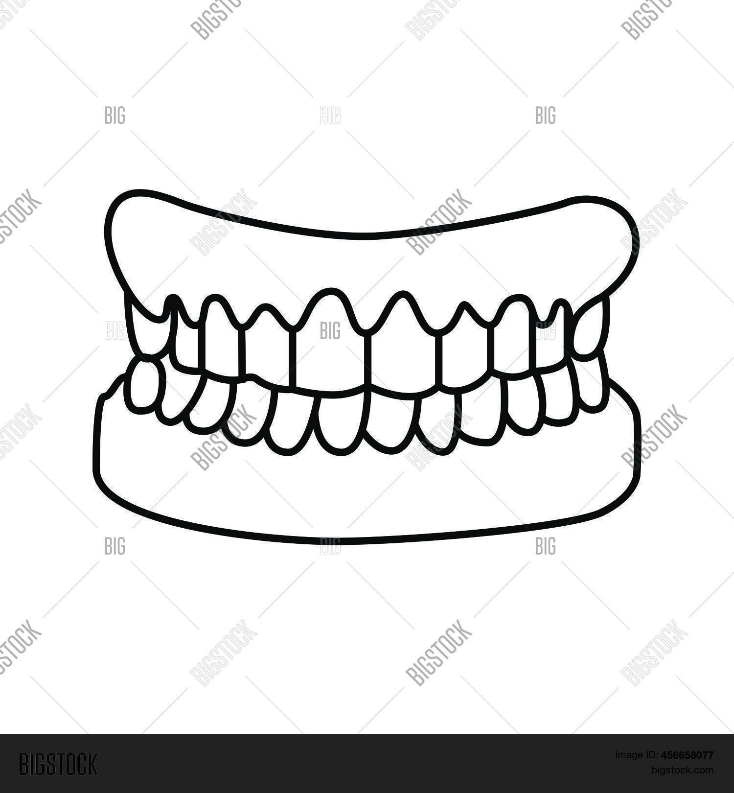 Human Jaw Outline Vector & Photo (Free Trial) | Bigstock