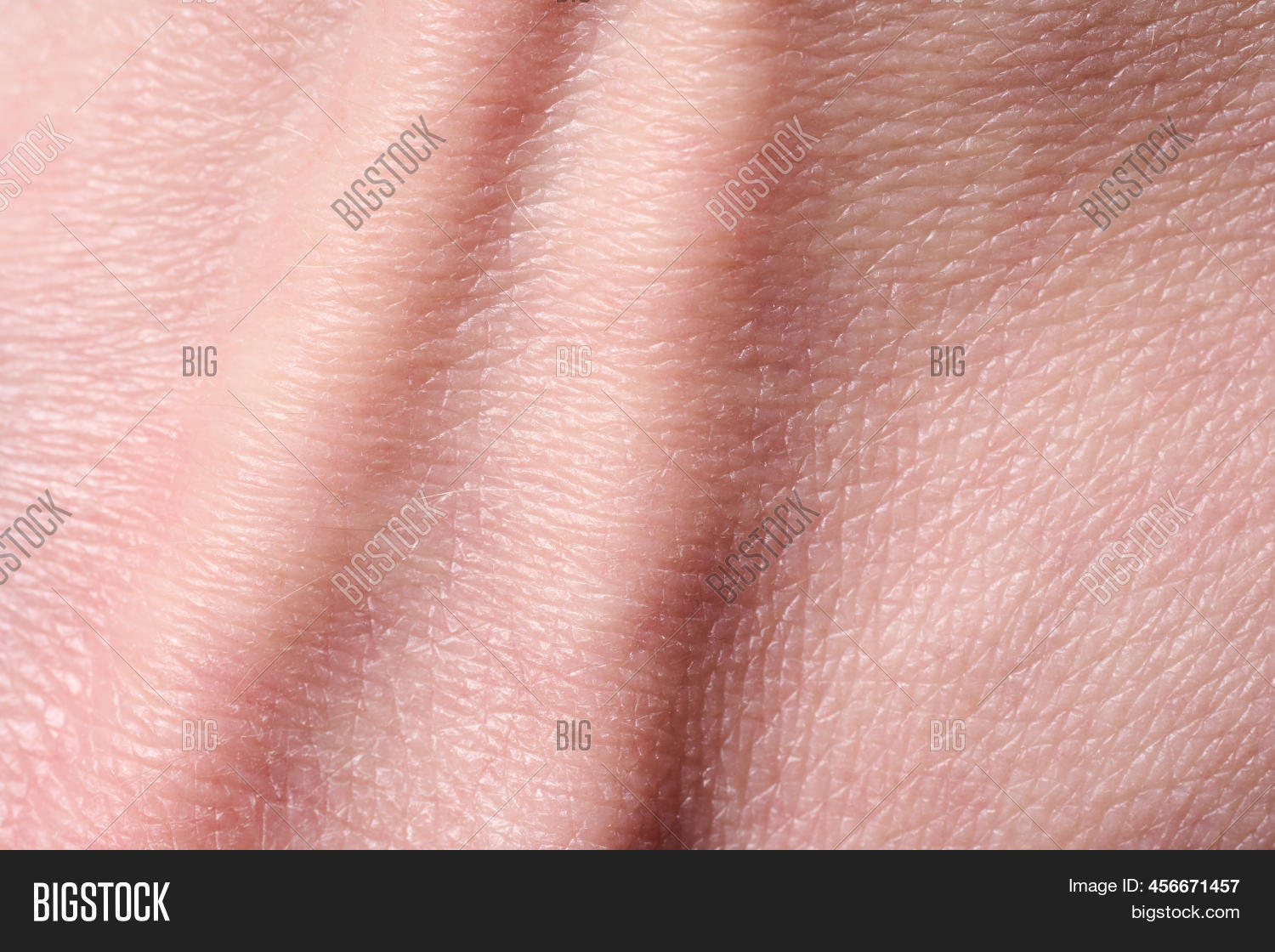 Background Pink Skin Image & Photo (Free Trial) | Bigstock