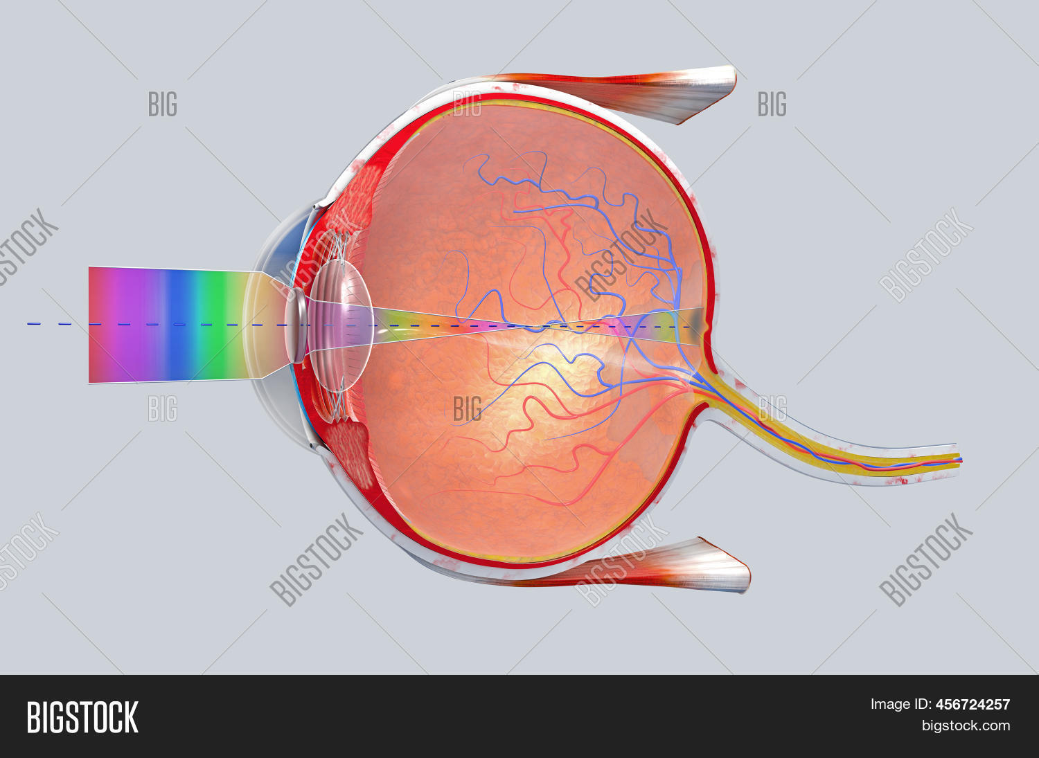 3d Illustration Cross- Image & Photo (Free Trial) | Bigstock