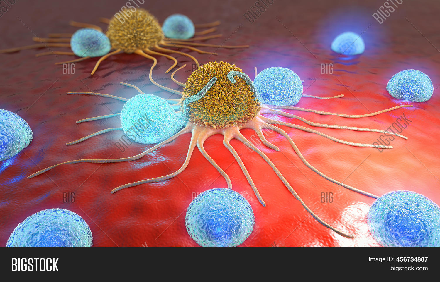 Migrating Cancer Cell Image & Photo (Free Trial) | Bigstock