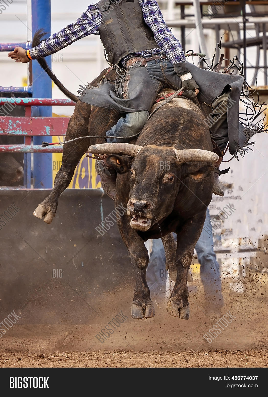 Cowboy Riding Furious Image & Photo (Free Trial) | Bigstock