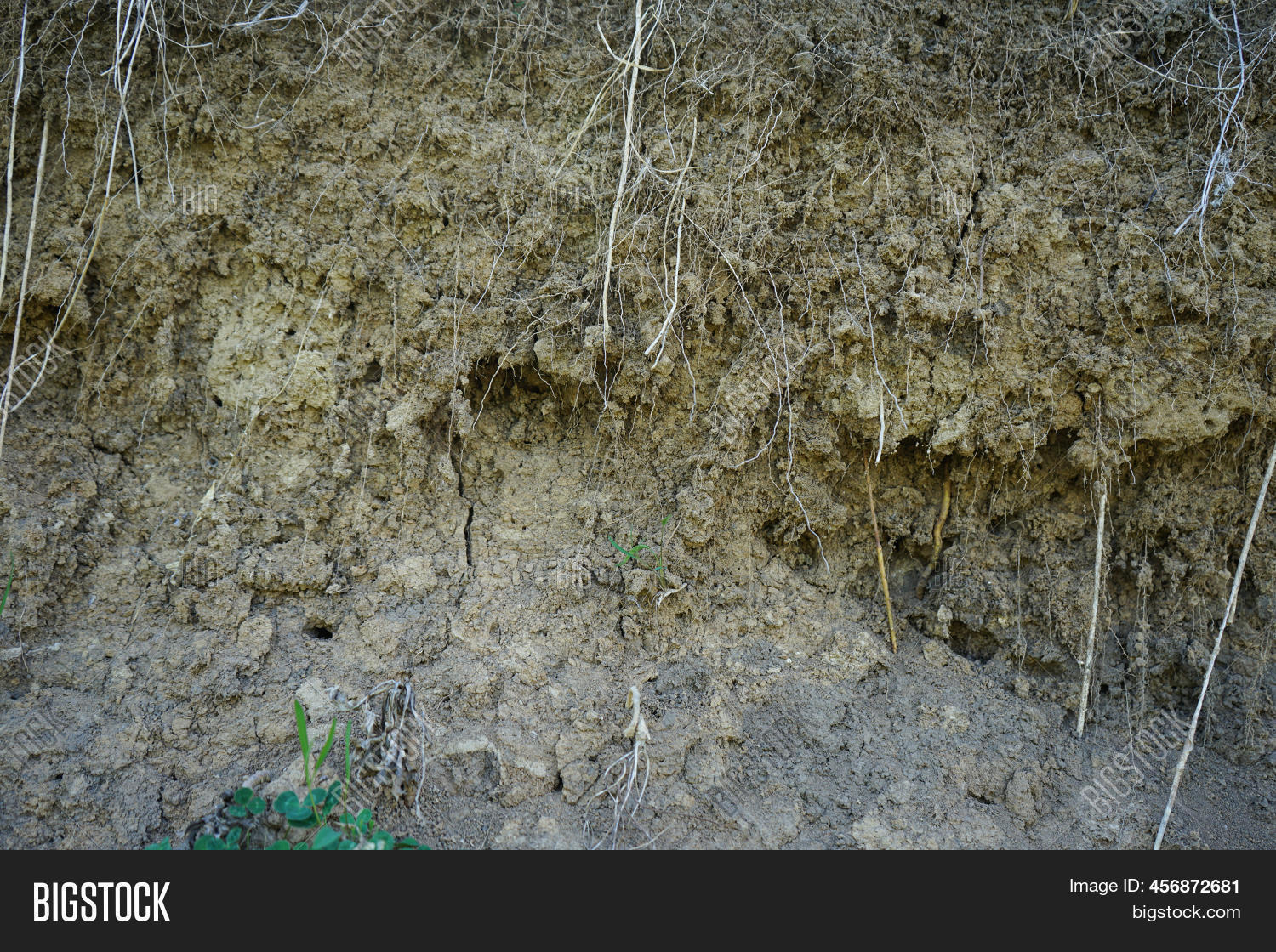 Cross-section Soil. Image & Photo (Free Trial) | Bigstock