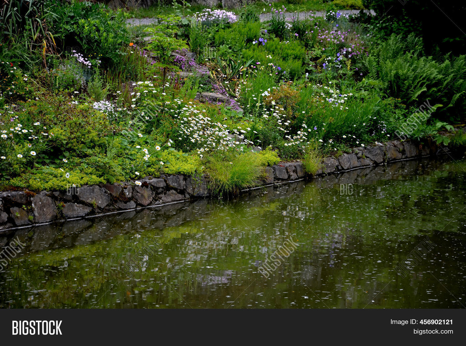 Garden Shady Nature By Image & Photo (Free Trial) | Bigstock