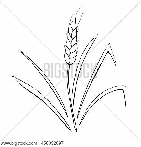 Vector Outline Vector & Photo (Free Trial) | Bigstock