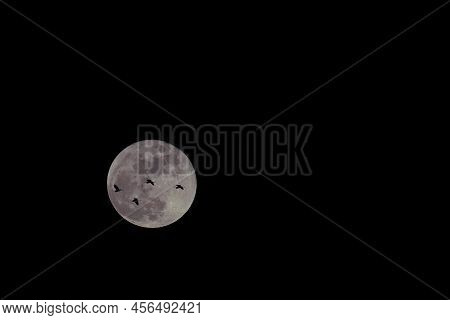 Full Moon Silhouette Image & Photo (Free Trial) | Bigstock