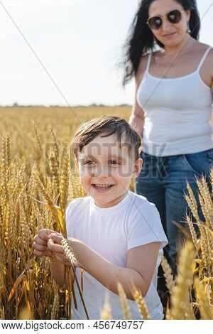 Wheat, Sunset, Family Images, Illustrations & Vectors (Free) - Bigstock